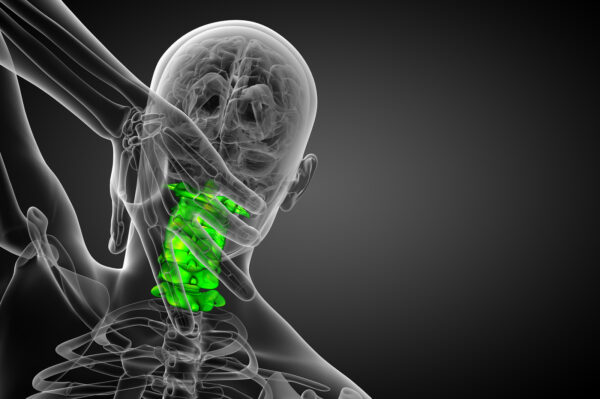 Why the Upper Cervical Spine Matters More Than You Think - Kindred ...